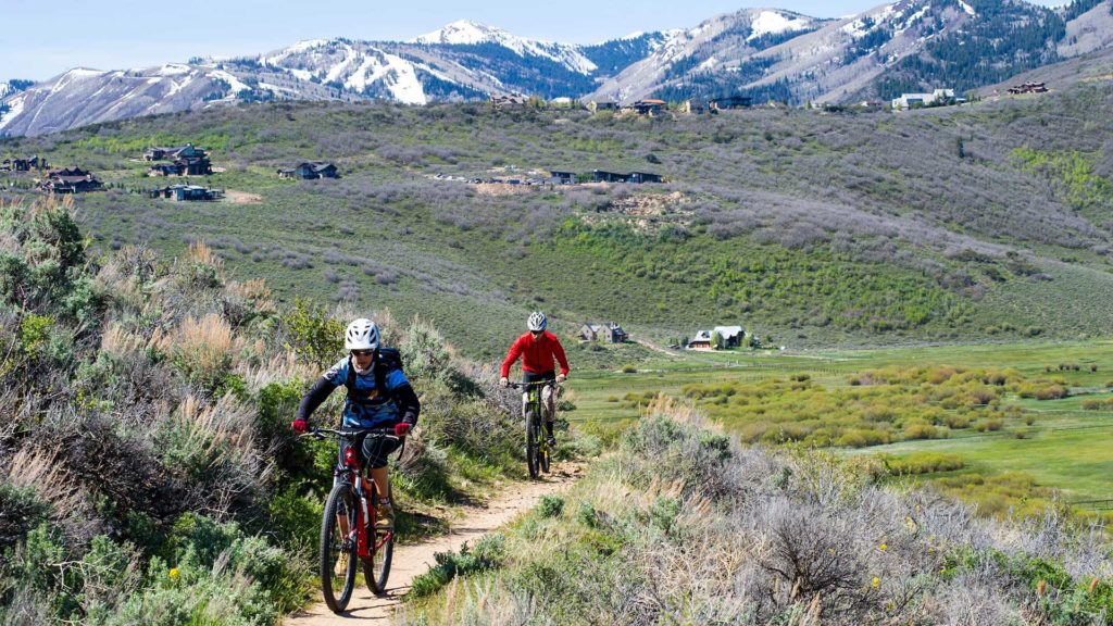 Bicycle Geometry Explained! - blog.jans.com