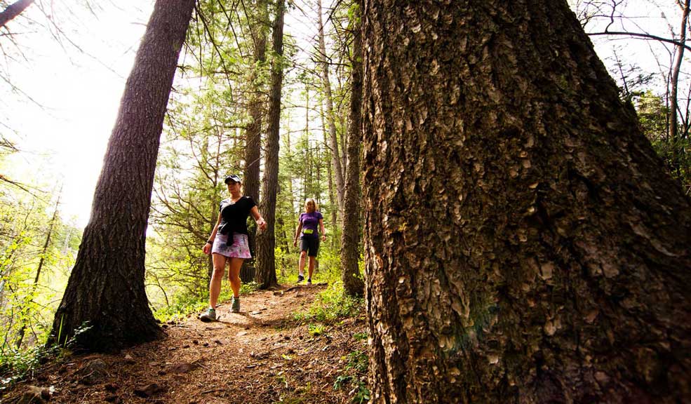 How to Stay Comfortably Cool While Hiking - blog.jans.com