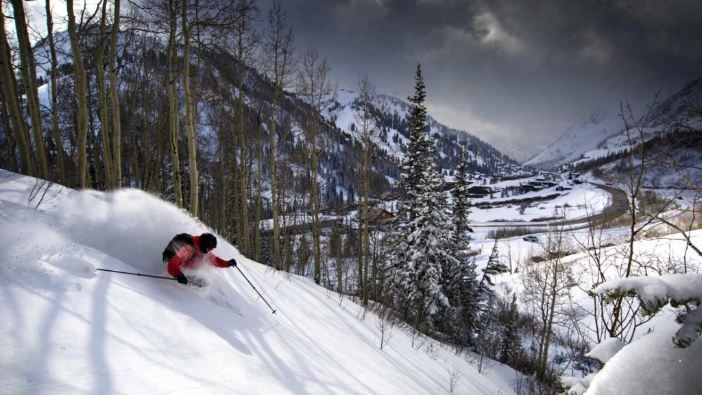 Polyamide and Polyester: What's the Difference? - blog.jans.com