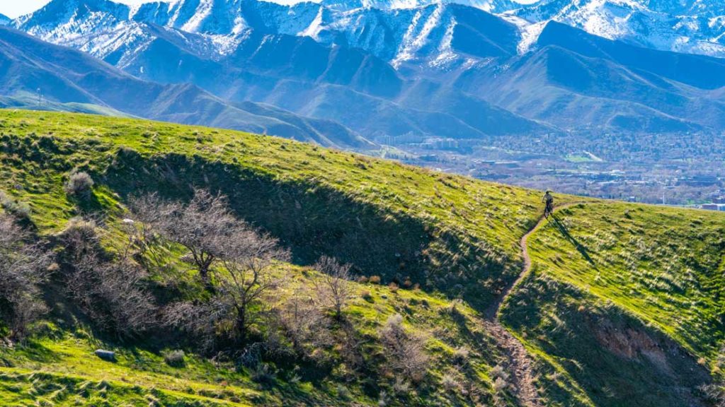 Polyamide and Polyester: What's the Difference? - blog.jans.com