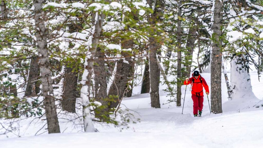 Polyamide and Polyester: What's the Difference? - blog.jans.com